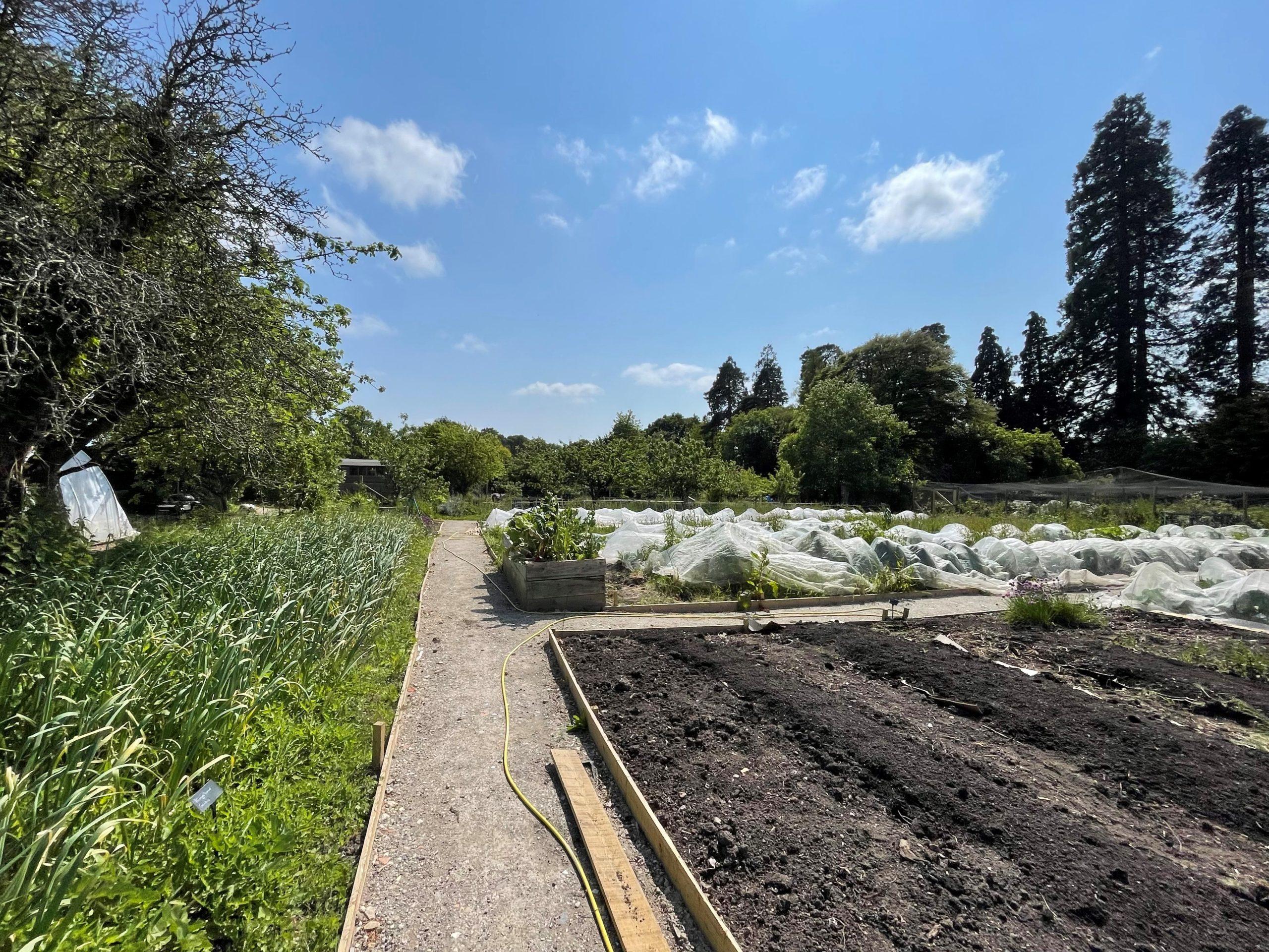 Joining the Fight Against Climate Change With The Garden Army - The ...